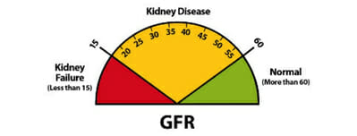 What Your eGFR Tells You About Your Kidney Function - Avoid dialysis ...
